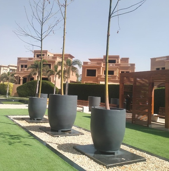 Planter 002 - FioritoEgypt